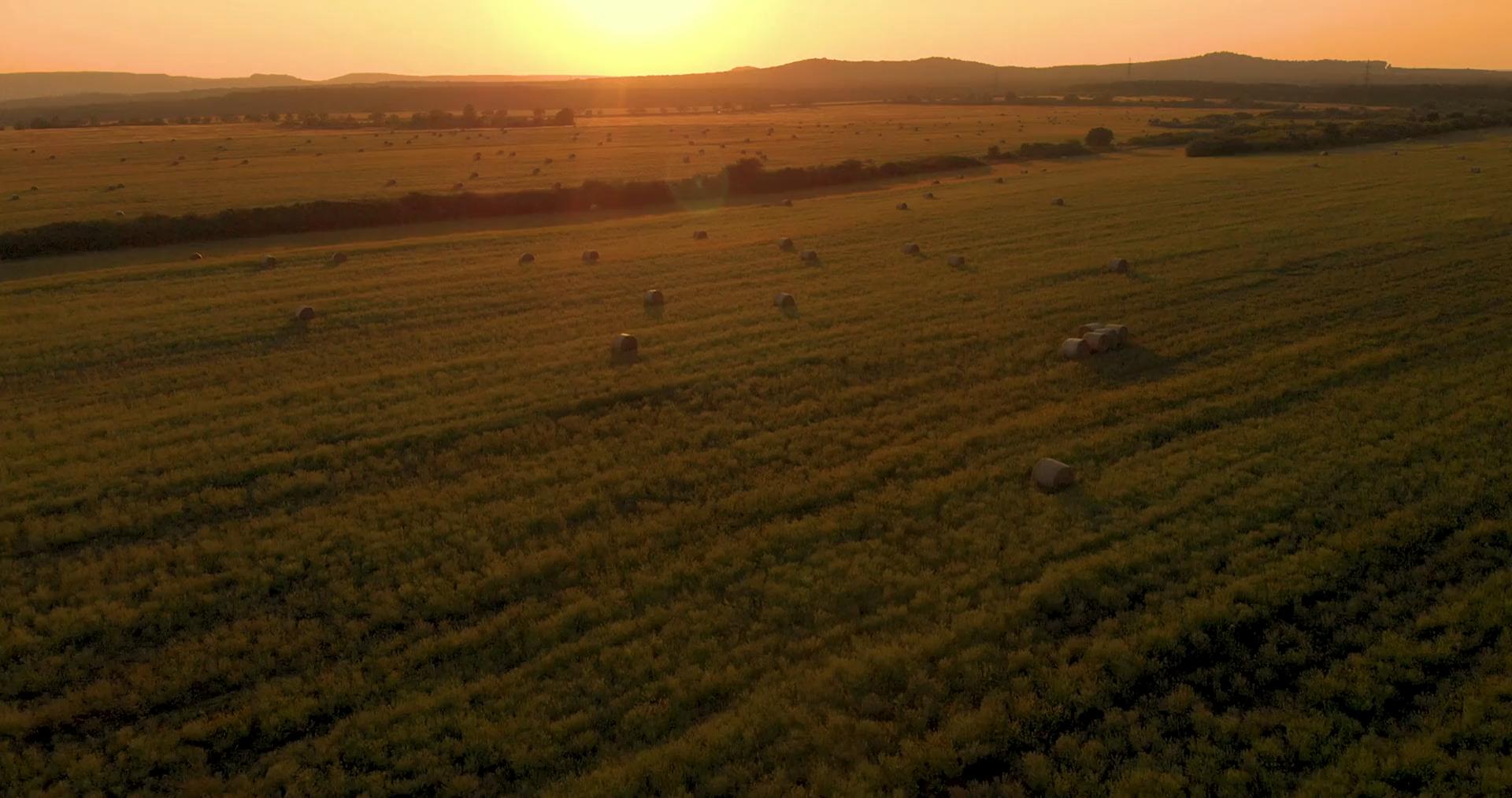 Ruple Properties | Texas Land and Ranches for Sale
